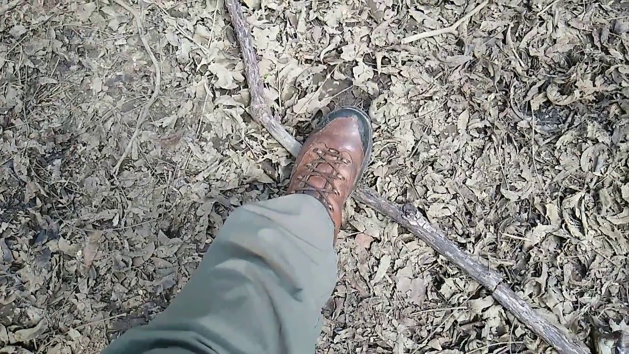 Mud Bugs & Hiking Boots - YouTube