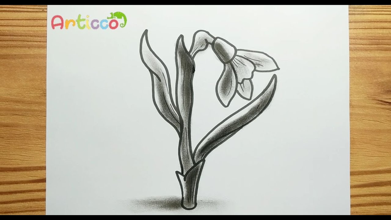 Snow Flower Drawing Winter Flowers Watercolor Bouquet (4899934)