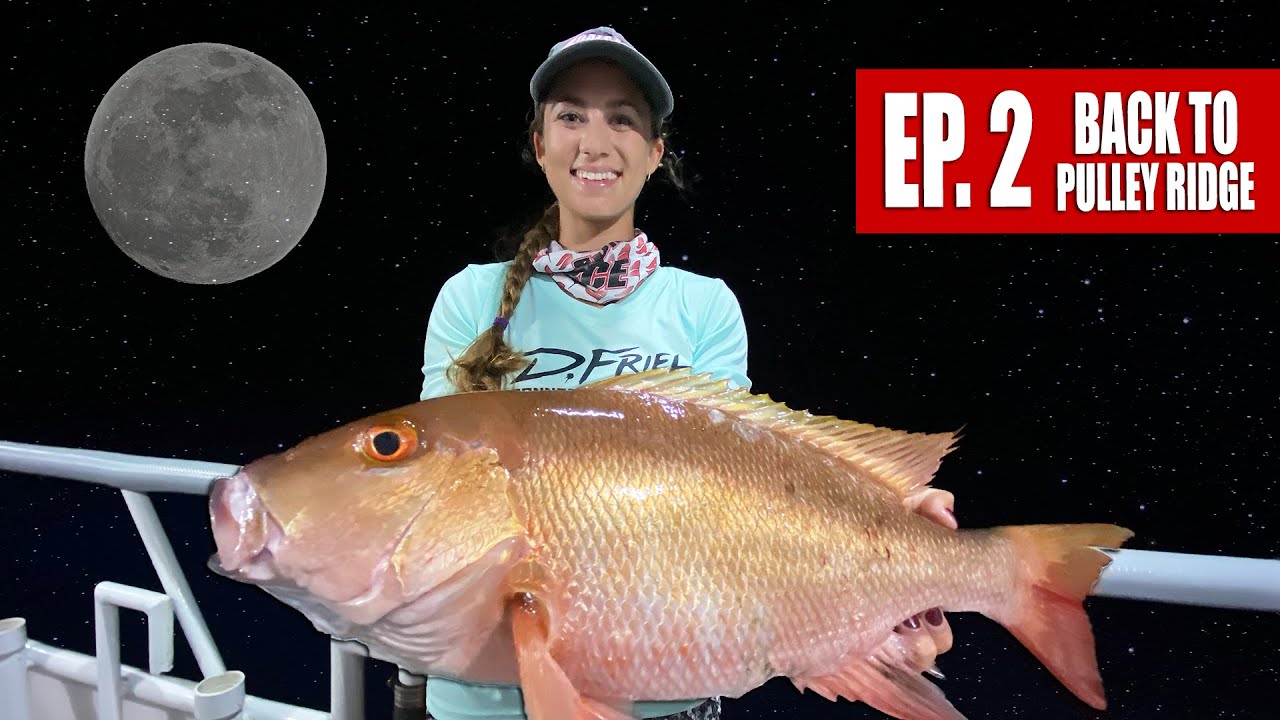MOONLIGHT MUTTON MADNESS! Night time snapper fishing at Pulley Ridge ...