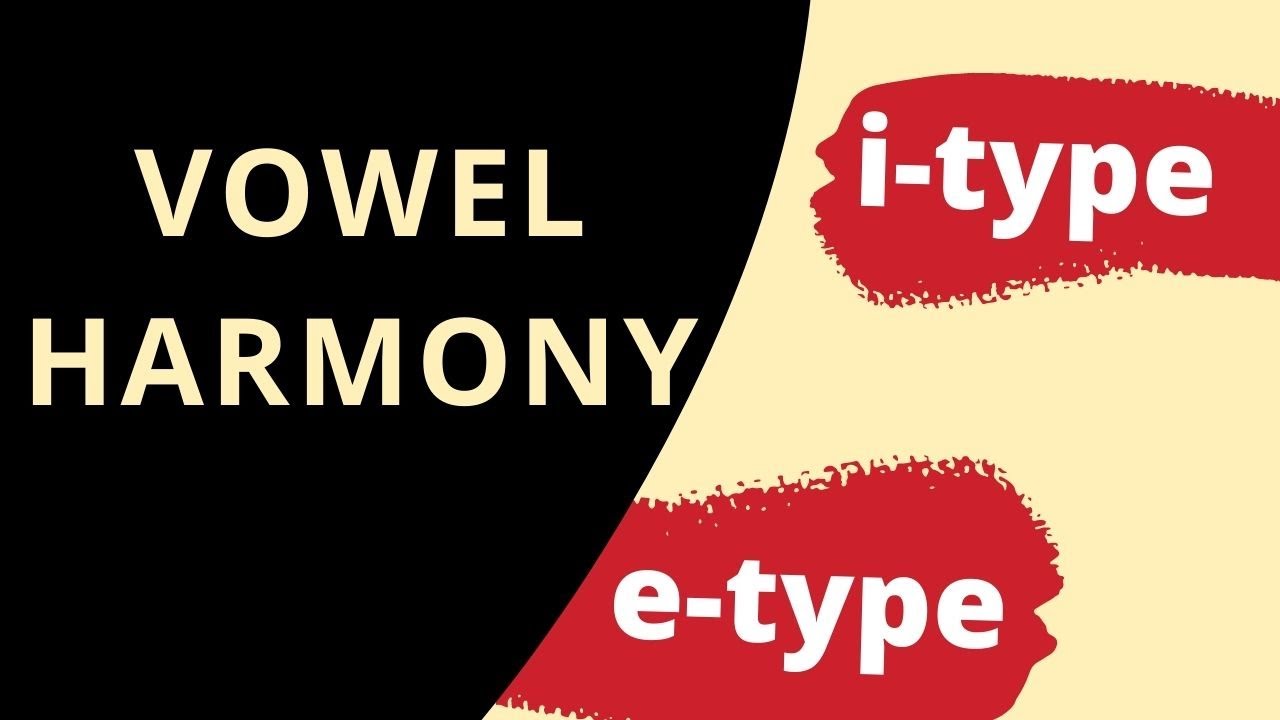 The MOST IMPORTANT rule in the Turkish language!! -- Turkish Vowel ...