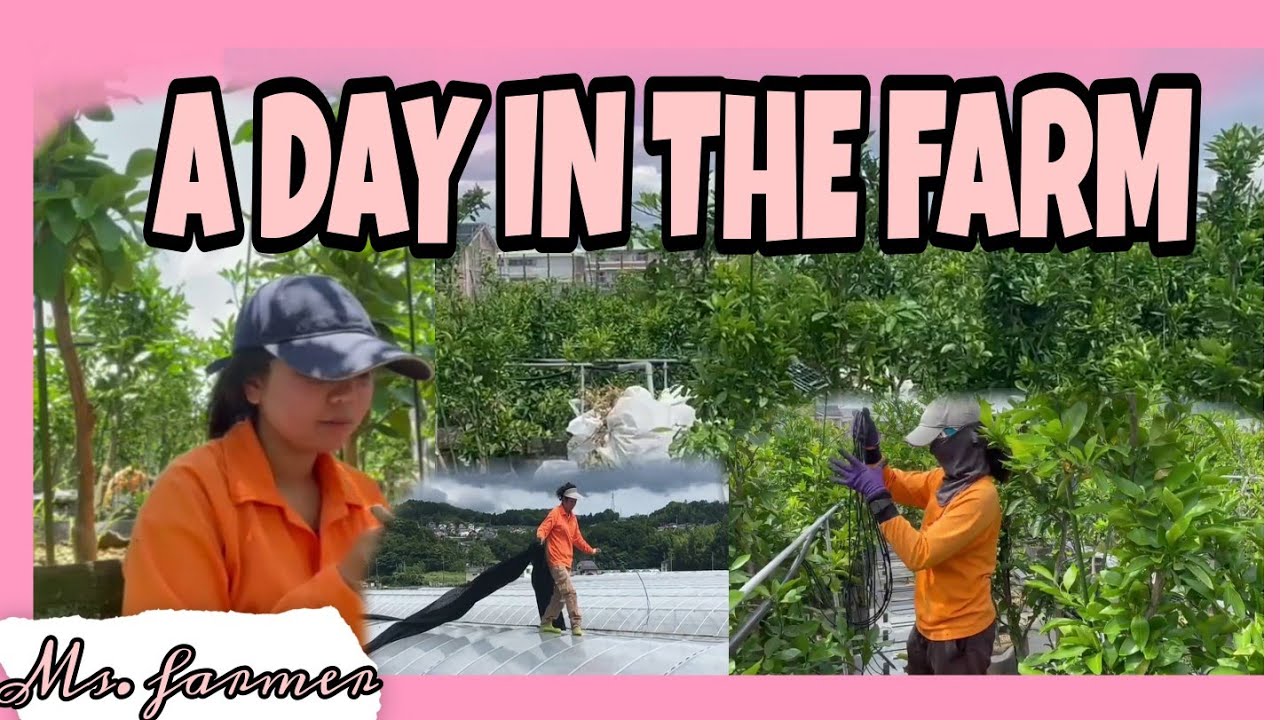 A DAY IN THE FARM | MS. FARMER - YouTube