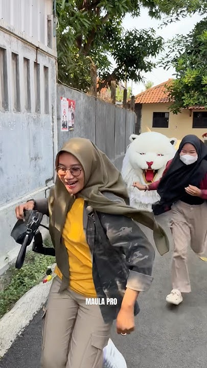 Dua Cewek dikagetin can macanan - YouTube