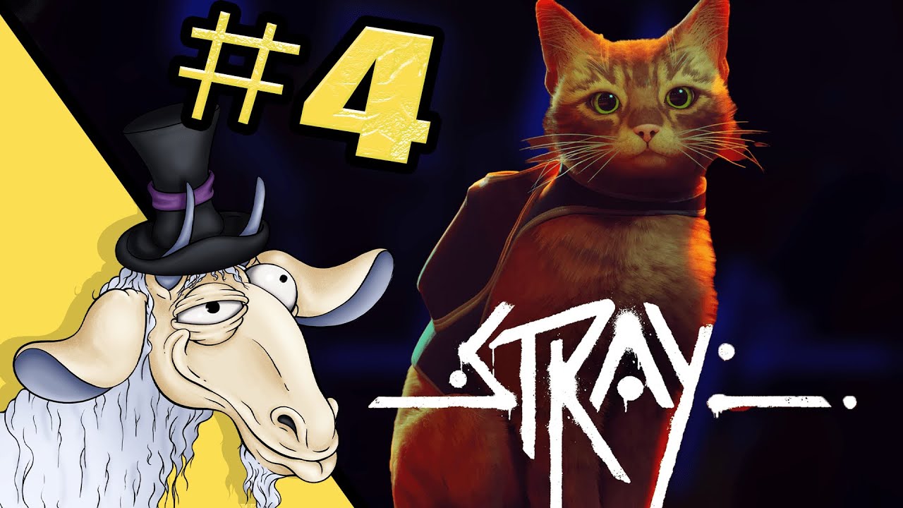 Let's play stray | Part 4 | #81 - YouTube