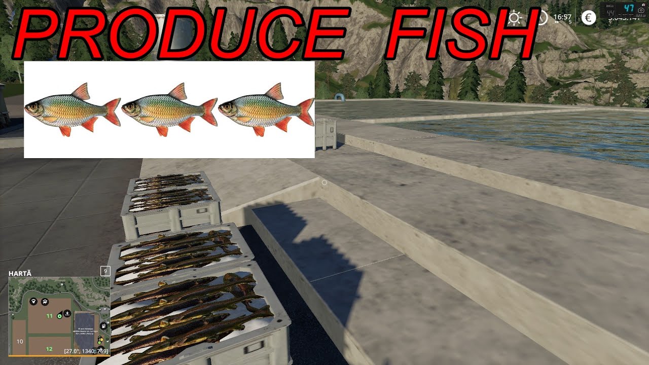 FS 19 map TOUS TRAVAUX /WE SET UP THE FARM WE FEED THE ANIMALS AND ...