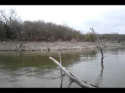 Choke Canyon Alligator - YouTube