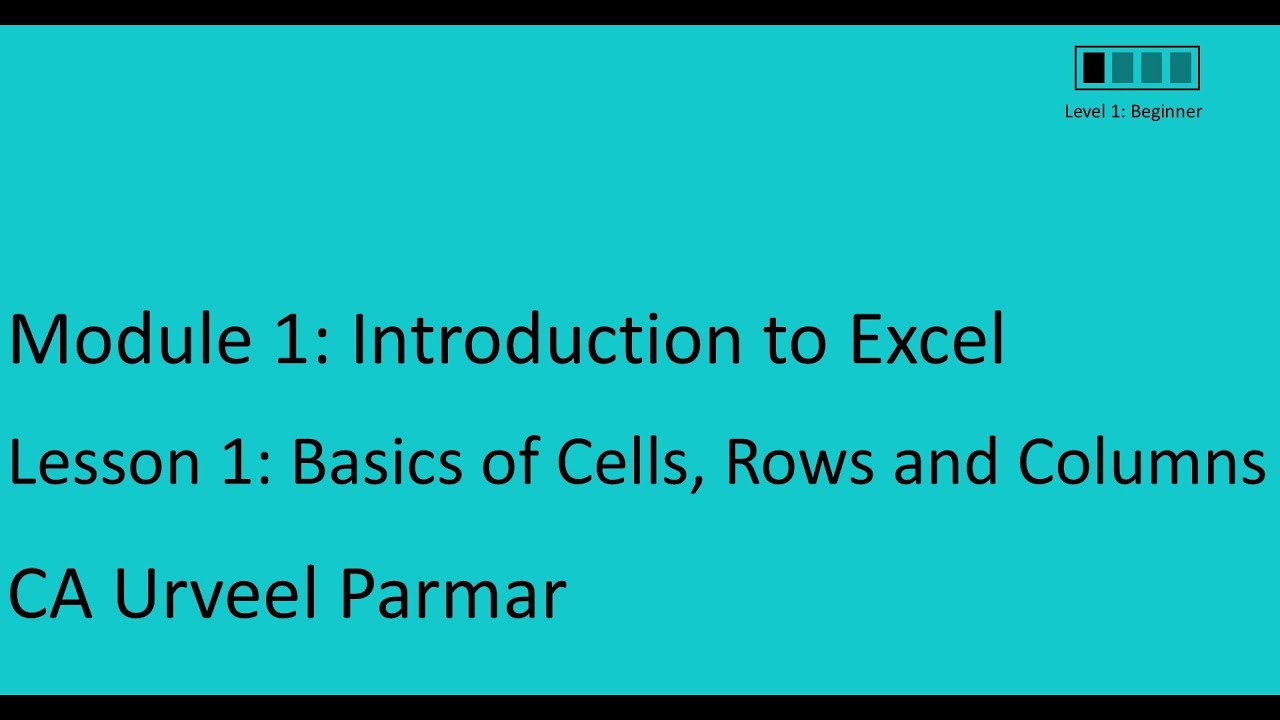 Excel Beginners Tutorial Basics Of Cells Rows And Columns Module 1 Lesson 1 Youtube