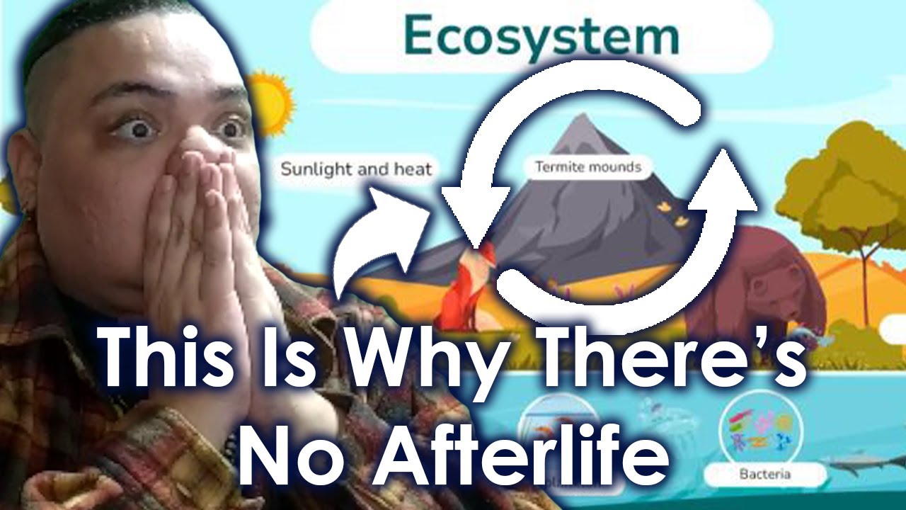 THIS Is Why There's NO AFTERLIFE! - YouTube