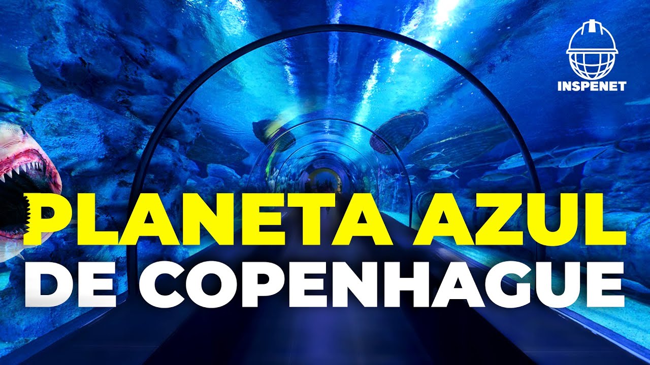 ACUARIO PLANETA AZUL 🐠 | Den Blå Planet: El MÁS GRANDE de EUROPA ...