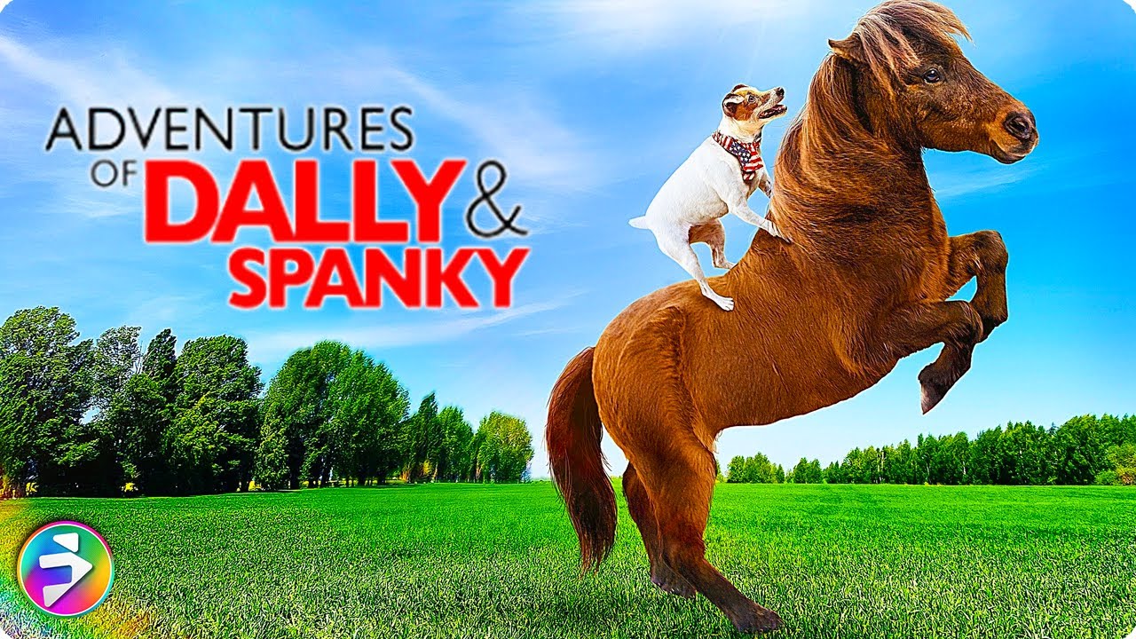 ADVENTURES OF DALLY AND SPANKY | BEST MOMENTS | Jack Russell ...