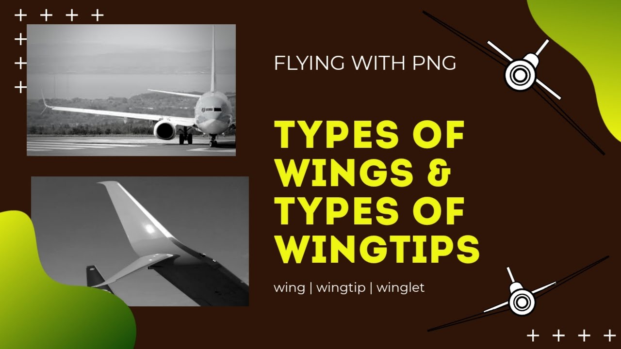 types of wing & winglets | shapes and place - YouTube