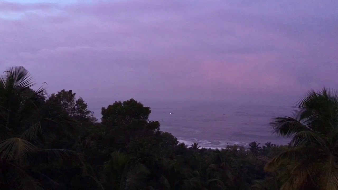 Kerala. South India. Early Morning Sounds 2 - YouTube