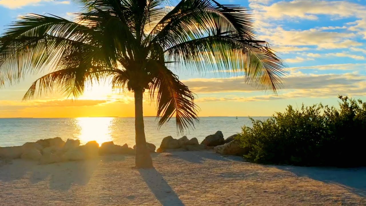 4k video | test natural video | natural video background 1080p - YouTube