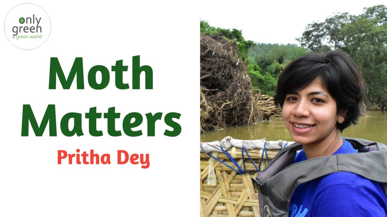 Moth Ecology | Ecosystems | Insect Conservation | Pritha Dey | Only ...