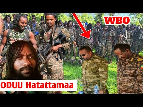 ODUU Hatattamaa Lola guddaa Lixa Oromiyaatti WBO'n daaraa tahu ...