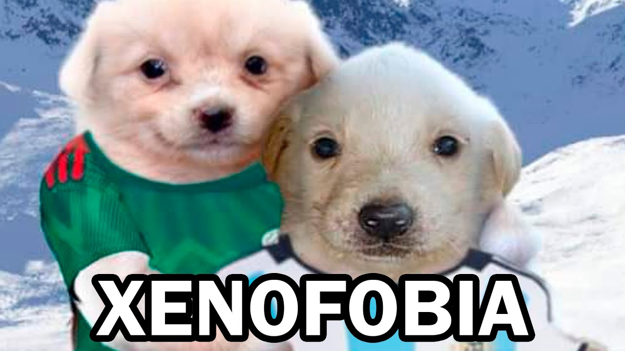 Shitposting Compilation V38 | Shitpost Español - YouTube