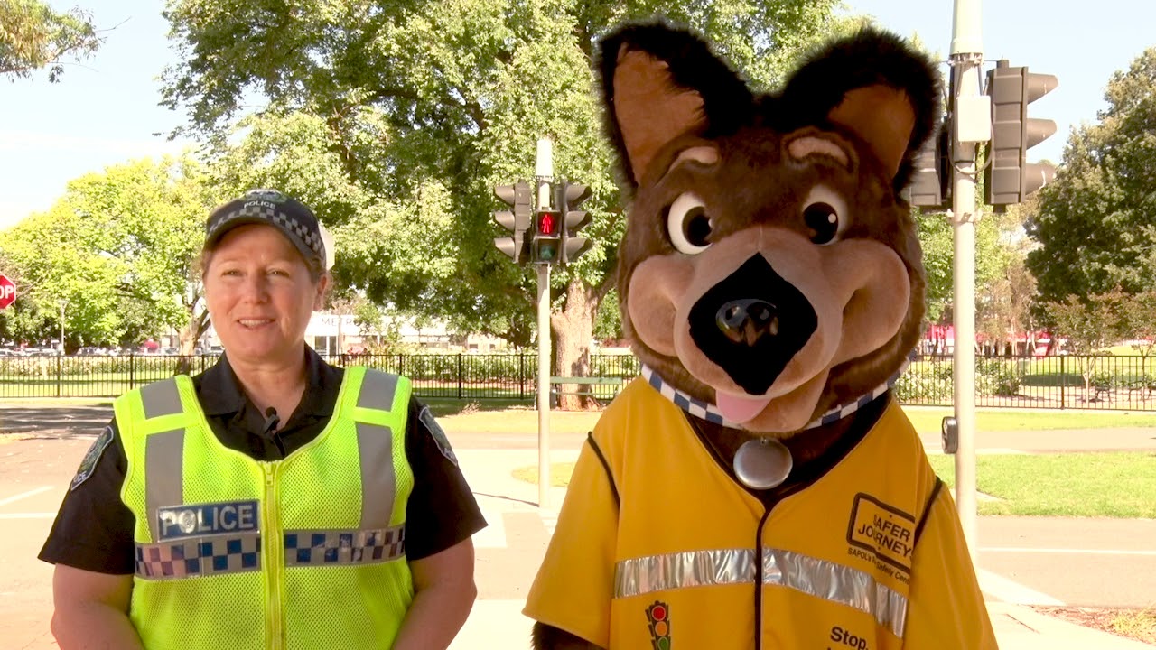 Crossing the road safely with Jeff the Road Safety Dog - YouTube