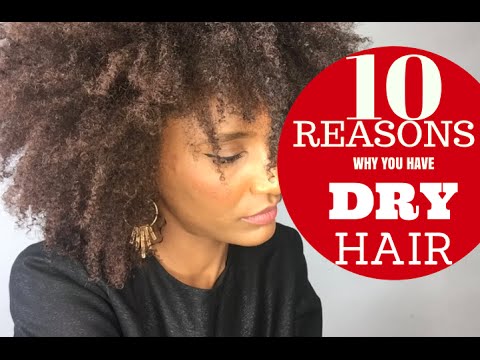 10 REASONS WHY YOU HAVE DRY HAIR (natural afro kinky) - YouTube