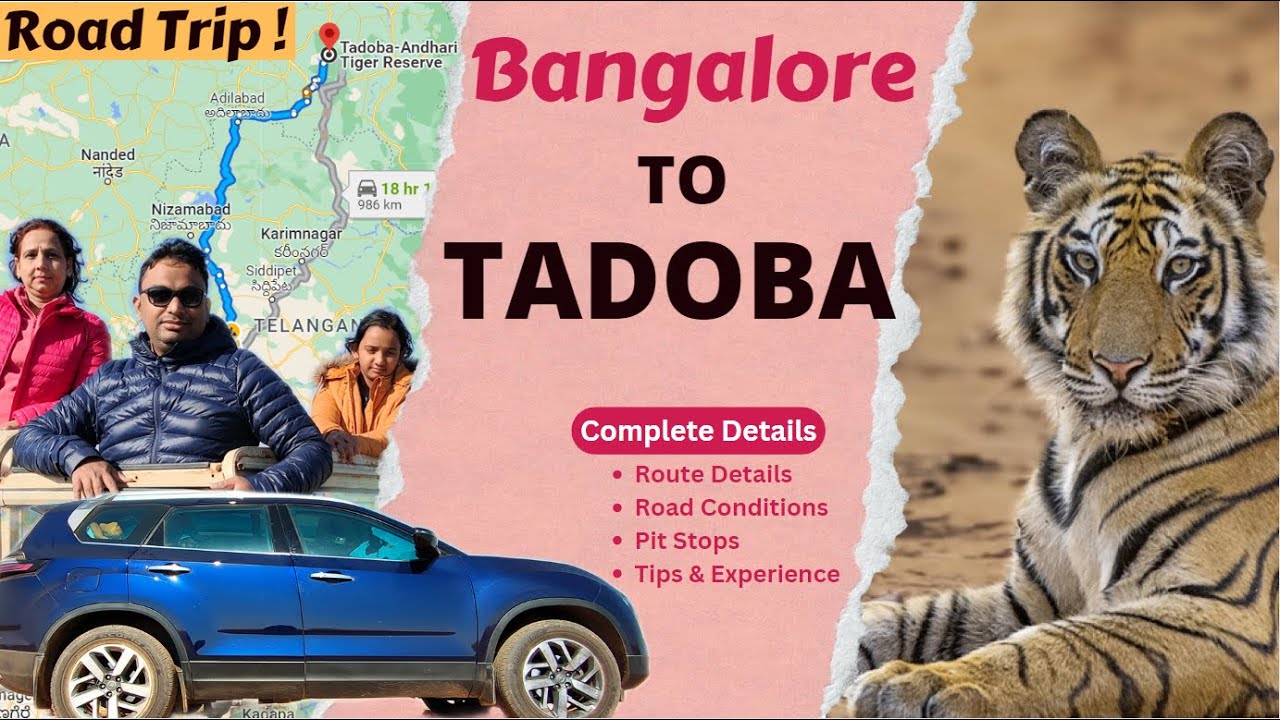 Best Route Bangalore To Tadoba Complete Road Trip With Road best-route-bangalore-to-tadoba-complete-road-trip-with-road