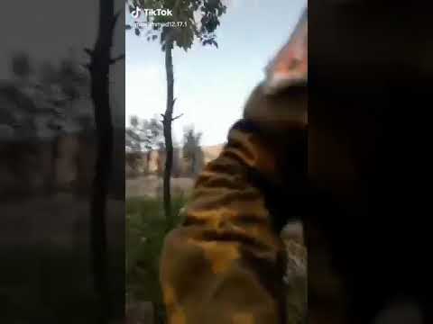 тожикистон 😡 Казахстан ваена