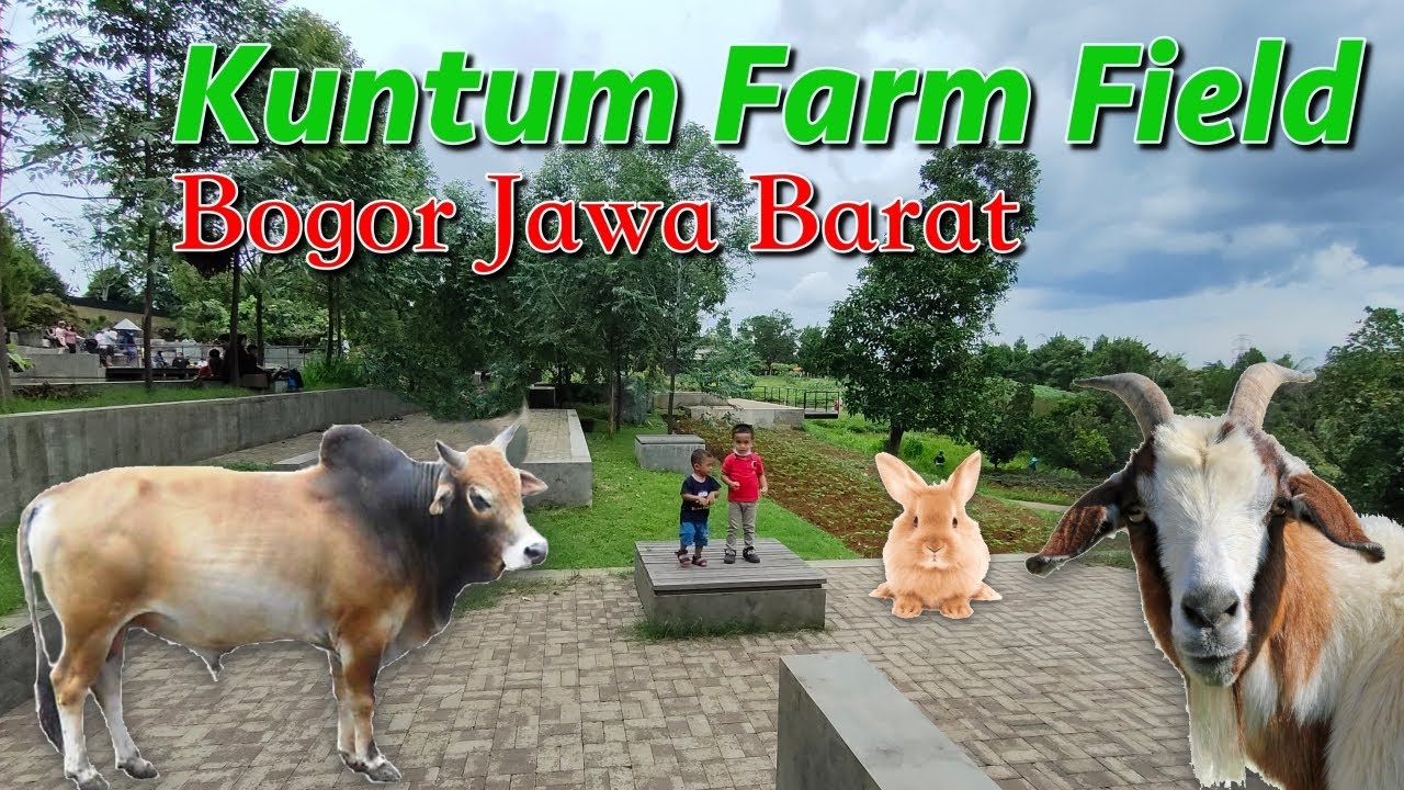 Wisata Kuntum Farm Field Bogor - YouTube