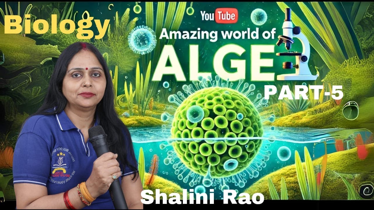 Plant Kingdom I Algae I High Weightage Topic I NEET 2025 I Class11th Biology I Chapter 3 I NCERT ...