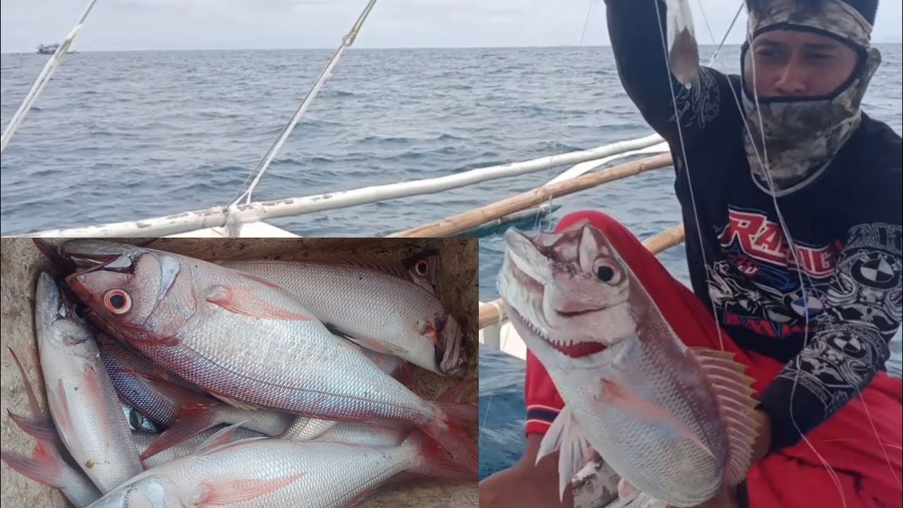 vlog59 | DAMING TIGUE-TIGUE MGA BAi😁( Day Fishing) - YouTube