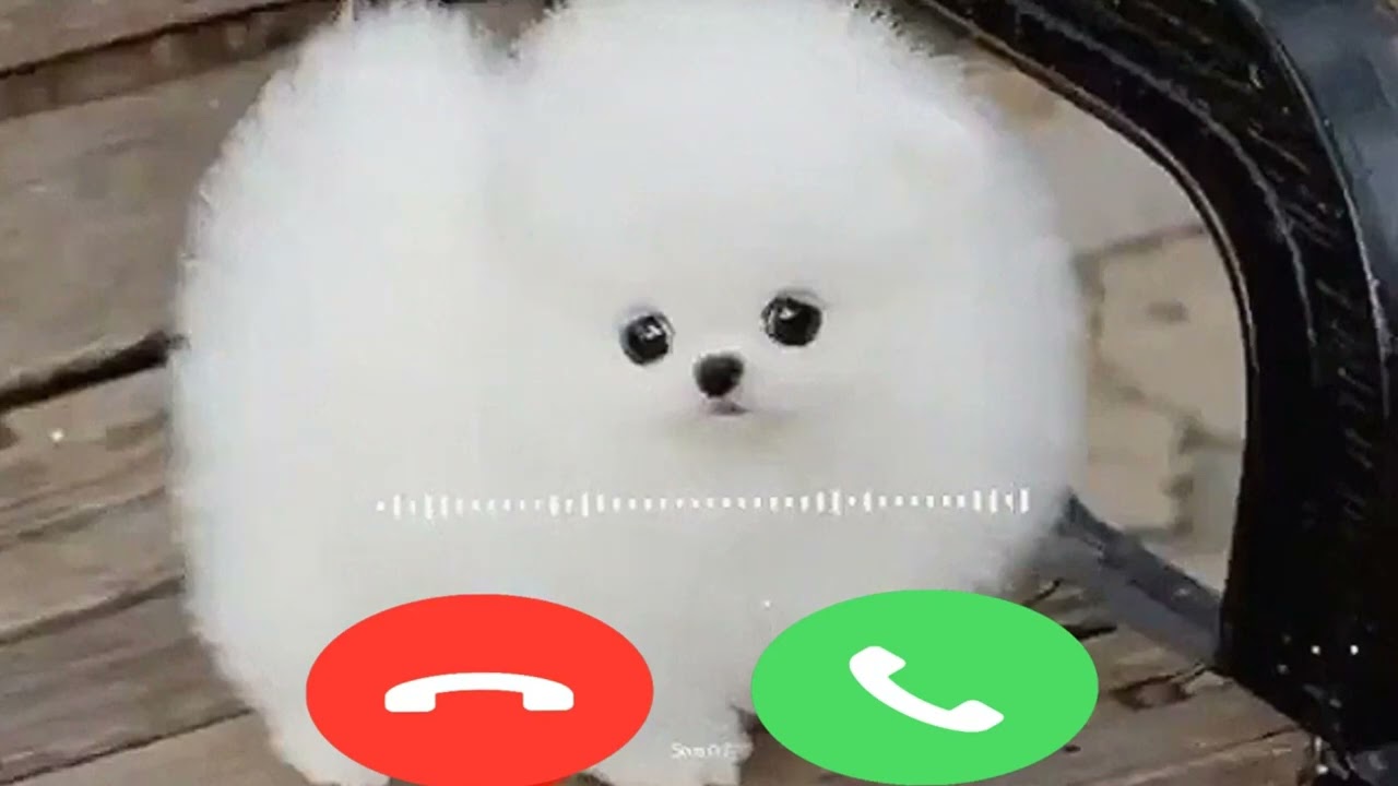 Abe Yaar Ek Aur Message Ringtone Cute Baby Voice Message Ringtone
