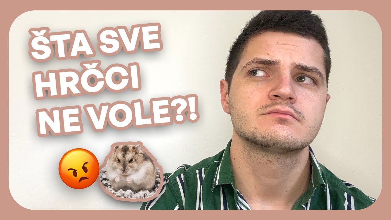 20 Stvari koje hrčci NE vole 🐹 - YouTube