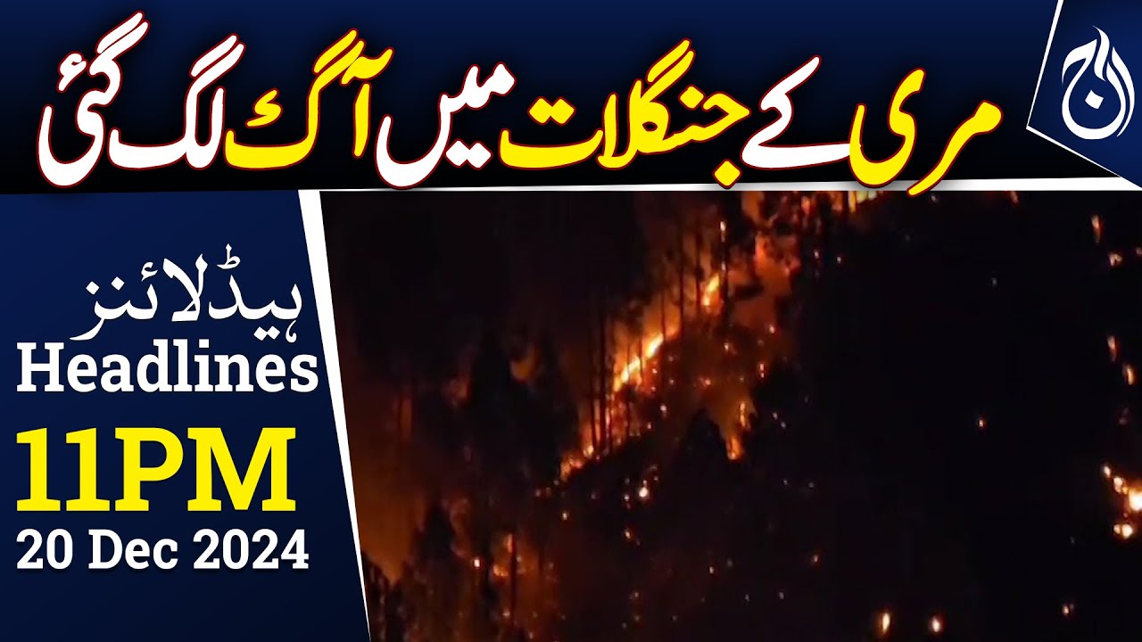 Fire breaks out in Murree forests. - 11PM Headlines - Aaj News - Videos ...