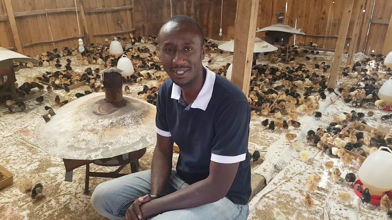 We all have our mentors! Caleb Karuga narrates our search for Kuroiler ...