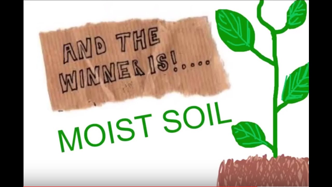 Class Activity - Science Experiments, Soil Moisture Example - YouTube