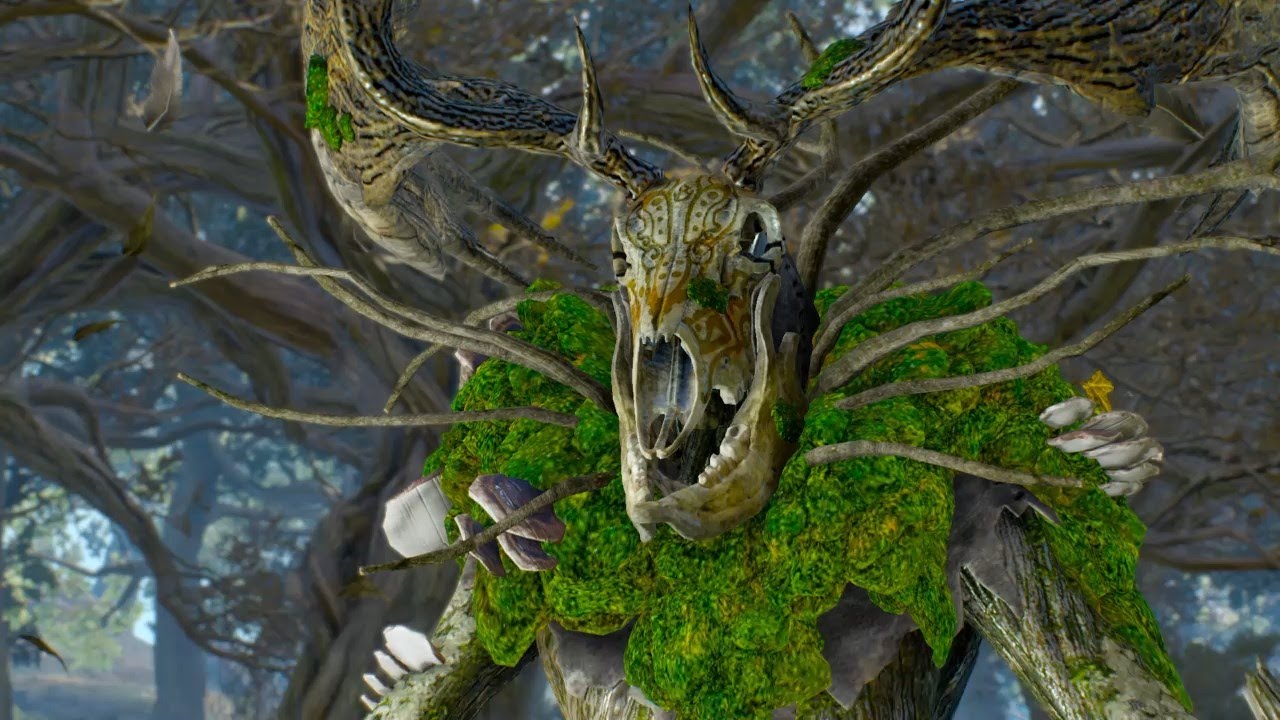 The Witcher 3 - No Coração da Floresta - Derrotando o Liche - YouTube