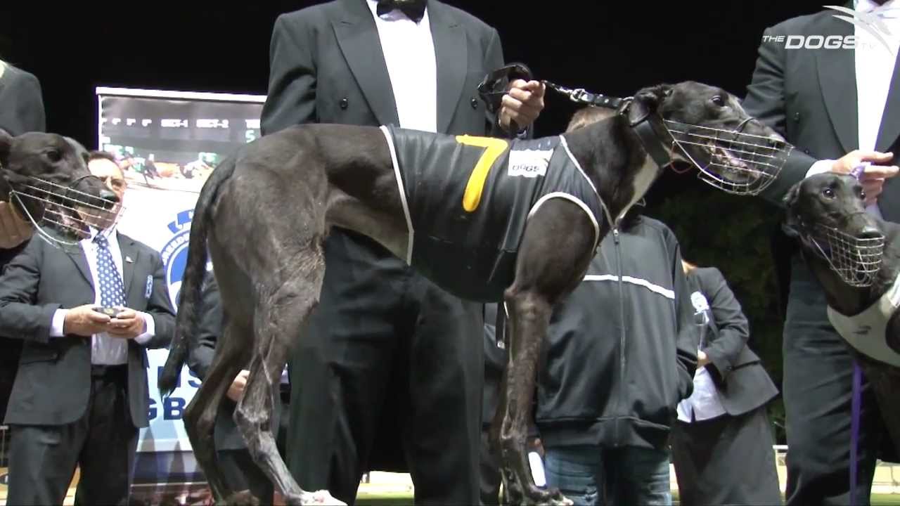 Nitro Blasts Hot Vic Peters Field - YouTube