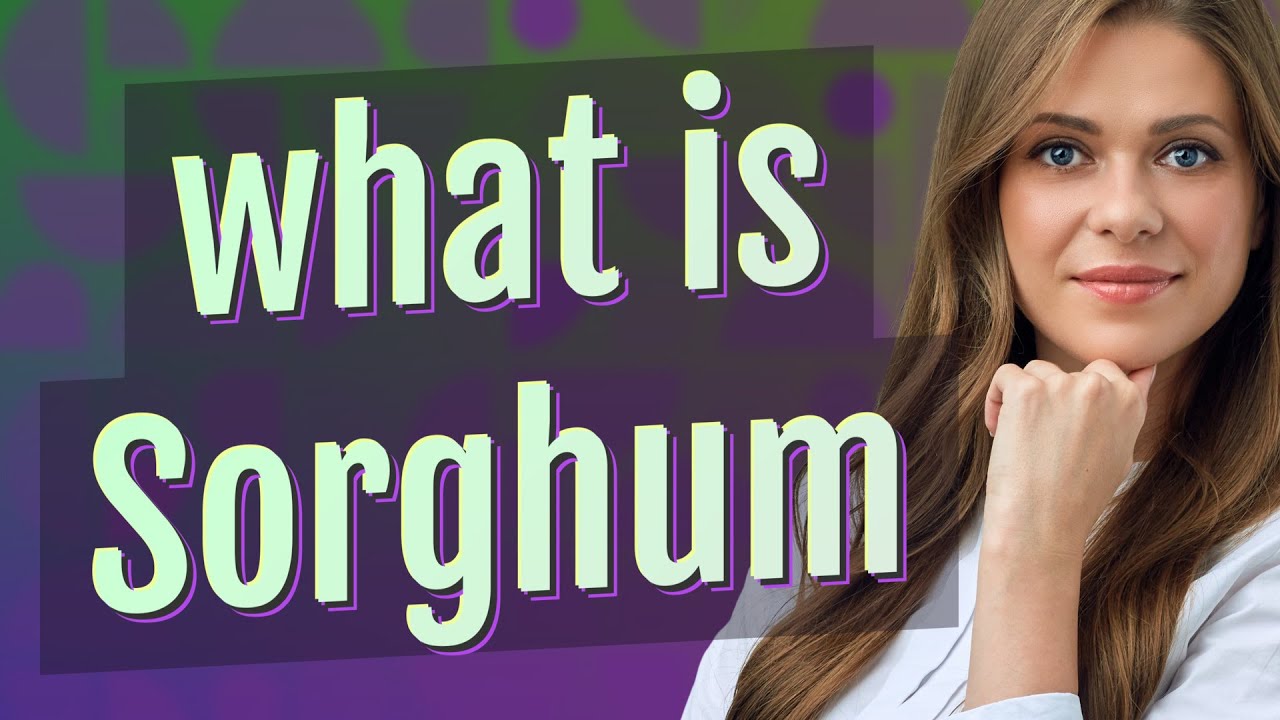 Sorghum | meaning of Sorghum - YouTube