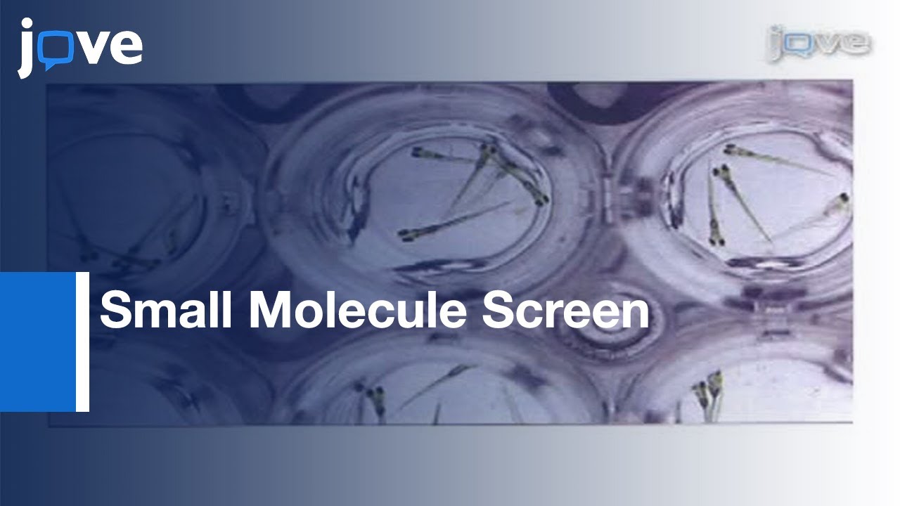 Large Scale Zebrafish-Based Small Molecule Screen l Protocol Preview ...