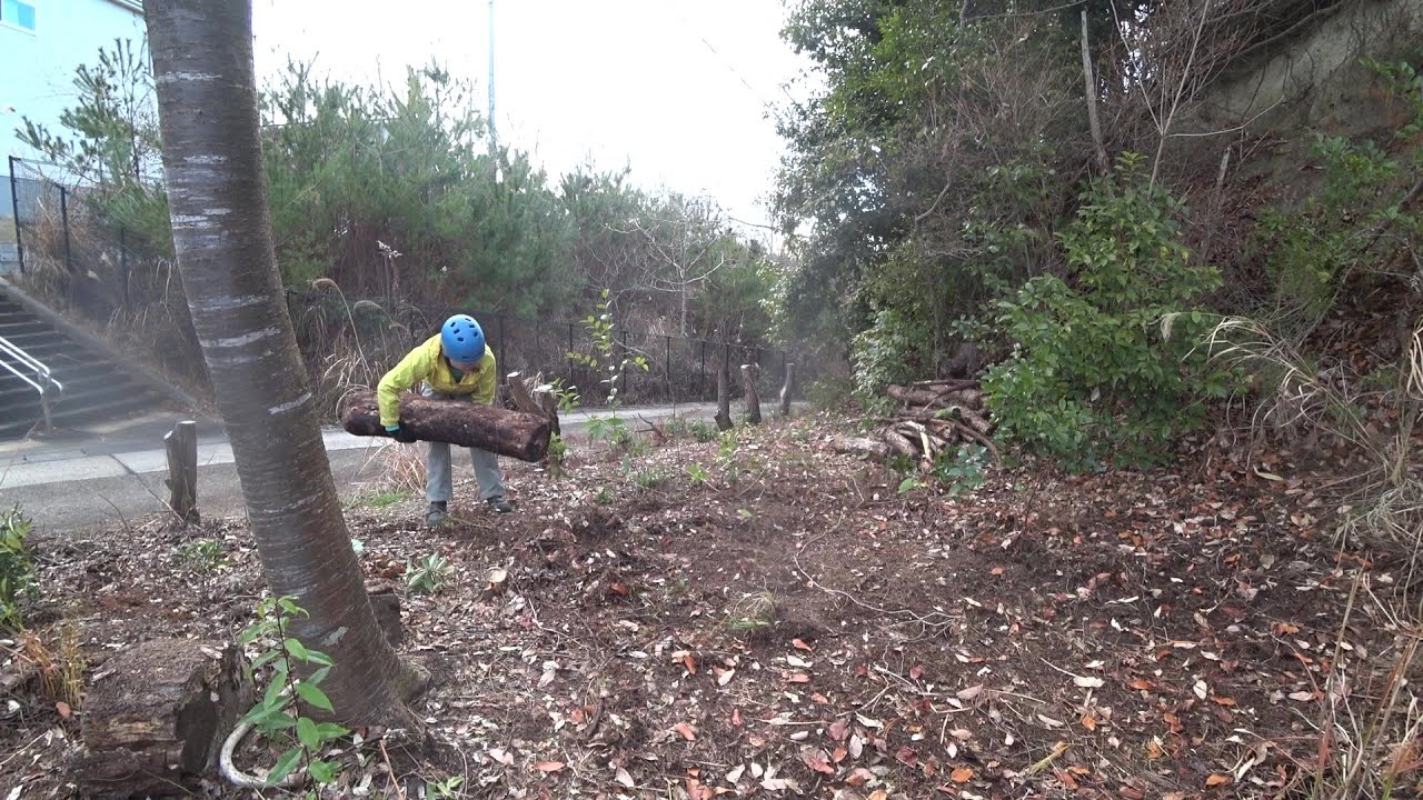 Nature Wonderland; sorting cut branches and trunks at the west end of ...