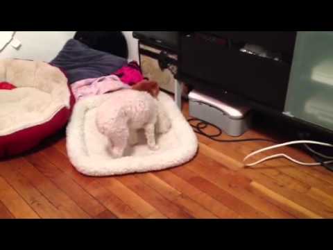 How Lucy eats - YouTube