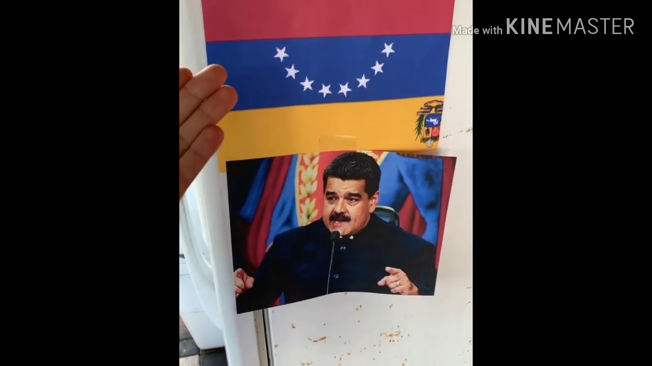 Os melhores momentos de Felipe Gringo - YouTube