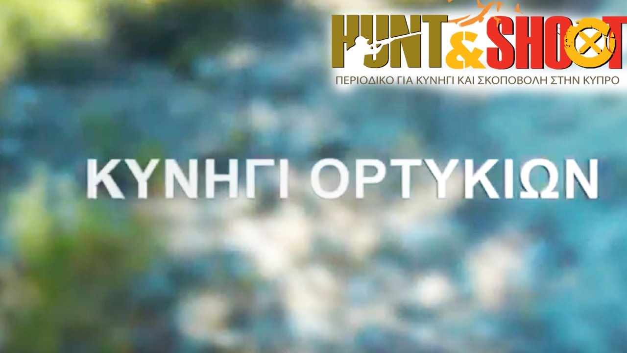 ΚΥΝΗΓΙ ΟΡΤΥΚΙΩΝ - YouTube