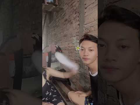 Live TikTok dengan pacar