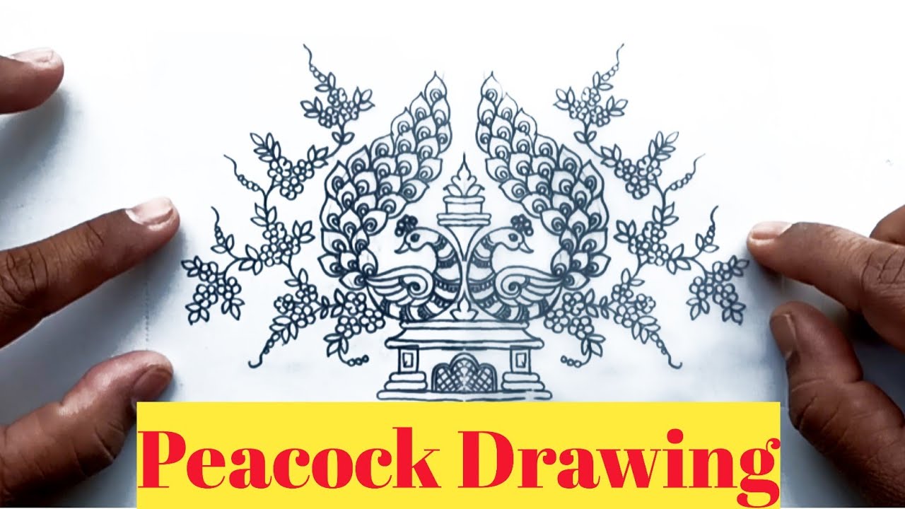 how to draw a beautiful peacock | mor ka chitra | how to draw a picture ...