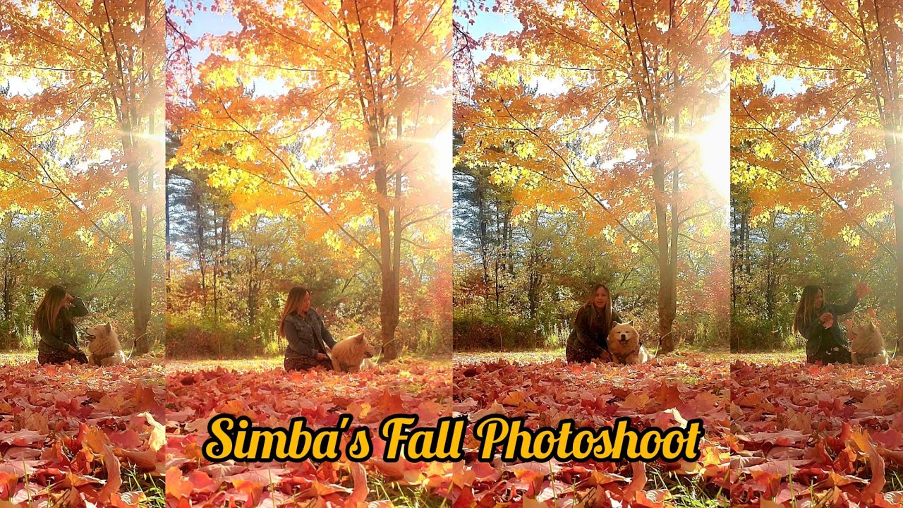 Simba's Fall Photo Shoot - YouTube