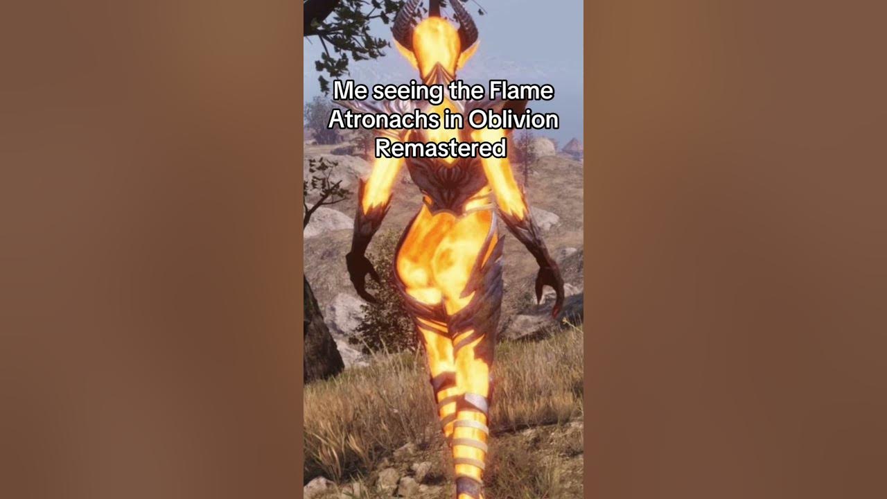 The Flame Atronachs 👀 #oblivion #elderscrolls #elderscrollsoblivion #gaming #shorts - YouTube