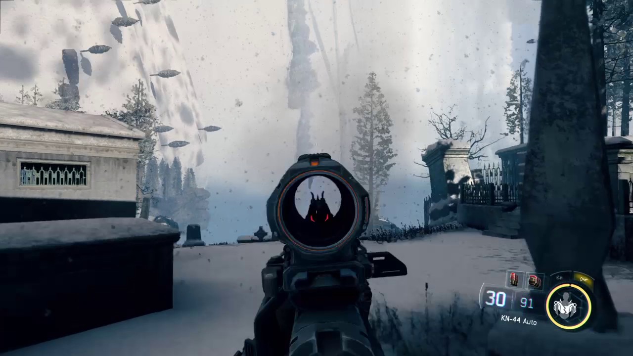 COD BO3 Bostavia Sarah Hall Glitch - YouTube