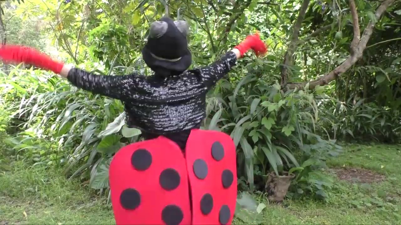 Jitterbugs - Hug Bug solo in the garden - YouTube