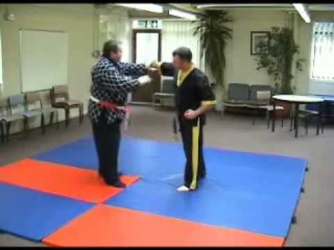 Trevor Roberts MMA Ju Jitsu Nerve pressure point technique Dim Mak ...