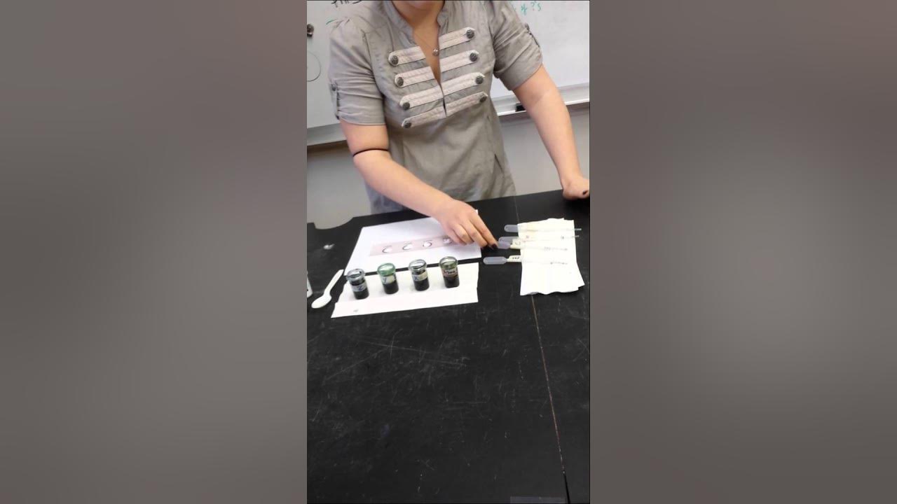 Relationships and Biodiversity State Lab - Test #5 - YouTube