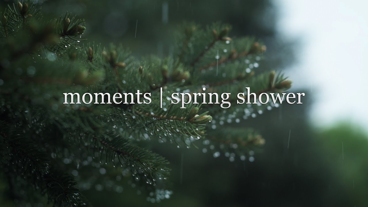 Moments: Spring Shower - YouTube