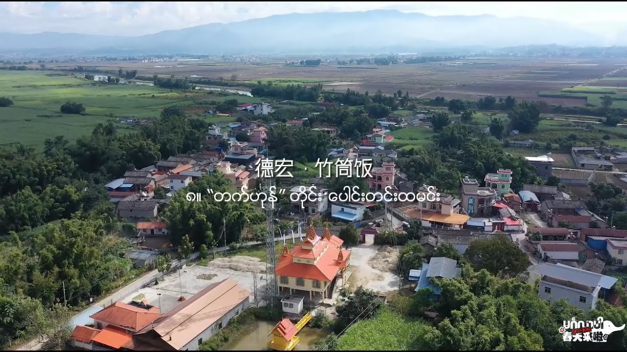 Dai Ethnic Delicacy: Bamboo-tube Rice Delight - YouTube