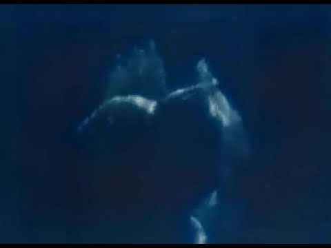 Tarzan Jane Swim Colorized - YouTube